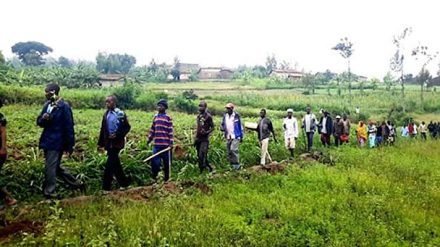 Rwanda planting 30 million trees to save environment