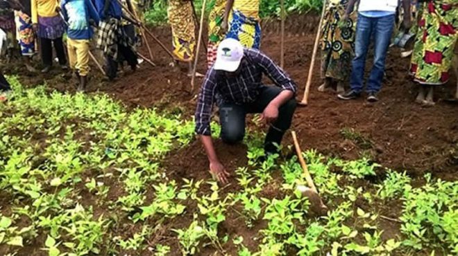 Rwanda planting 30 million trees to save environment