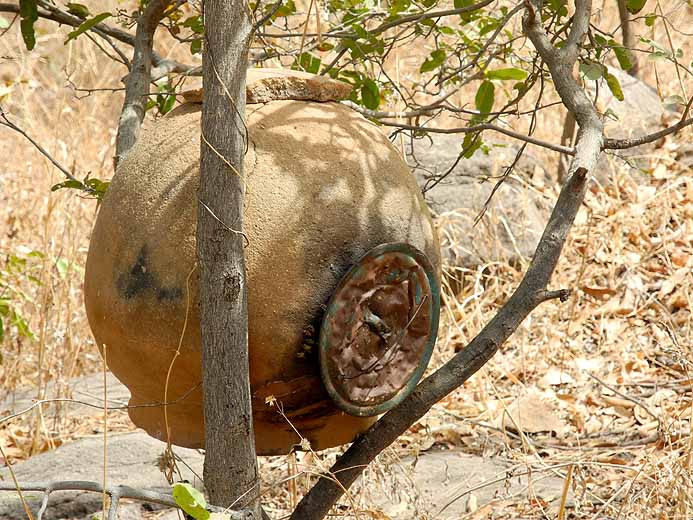 Traditional Bee Hives and Honey collection: Burkina Faso | This is africa