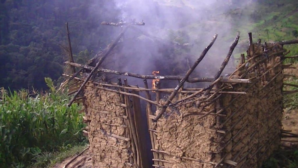 Exploring the Batwa identity, culture and livelihood in Uganda | This ...