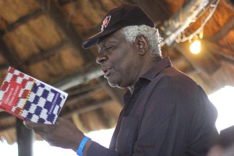 The Harare International Festival of the Arts (HIFA) in pictures