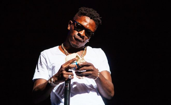 Pictures: One Africa Music Fest returned to Brooklyn, New York with ...