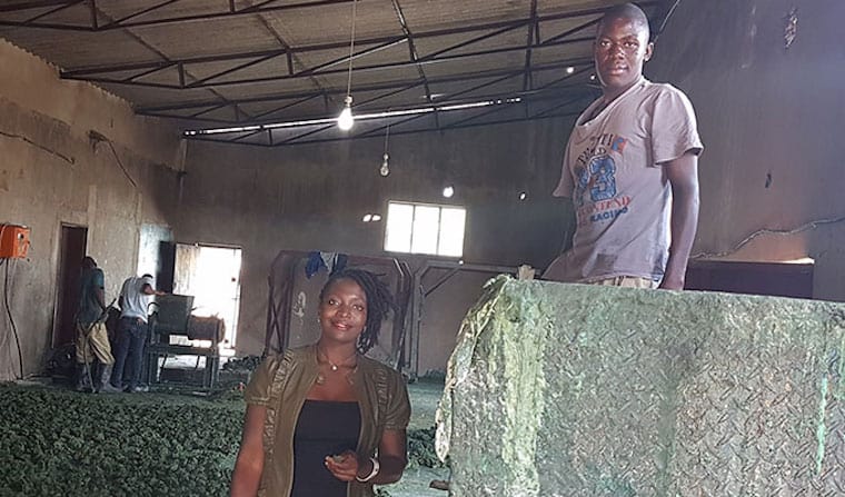 Rudo Mazhande, a trailblazer in Zimbabwe's soap-making industry